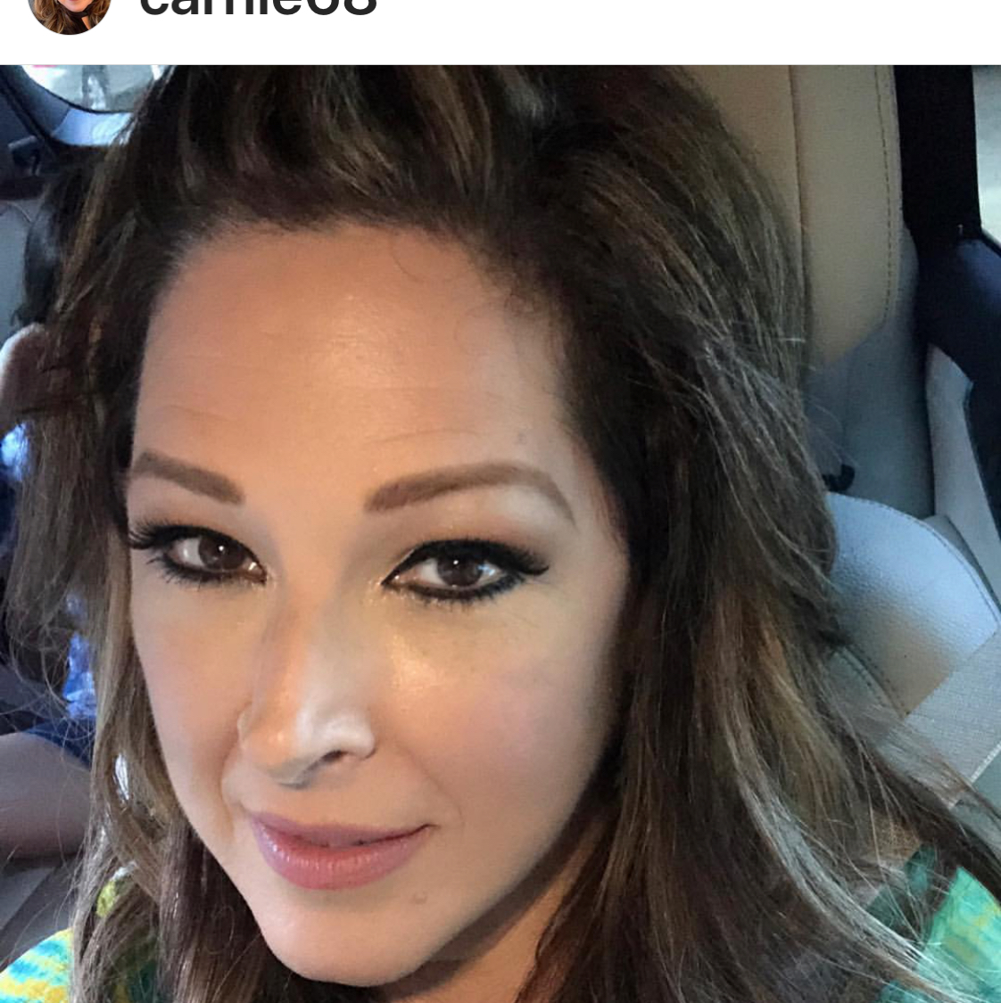 Cameo - Carnie Wilson