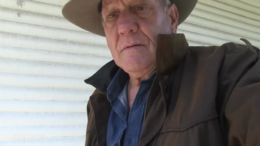 Cameo - David Ireland